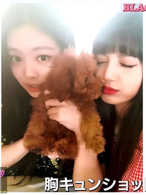 Lisa Manoban Fan 👸🏼 On Twitter Rt Jnlszip