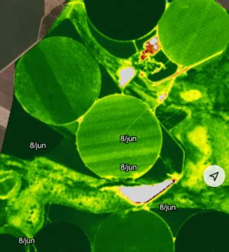 NDVI Sentinel Another Calculation Apps Services Forum Sentinel Hub