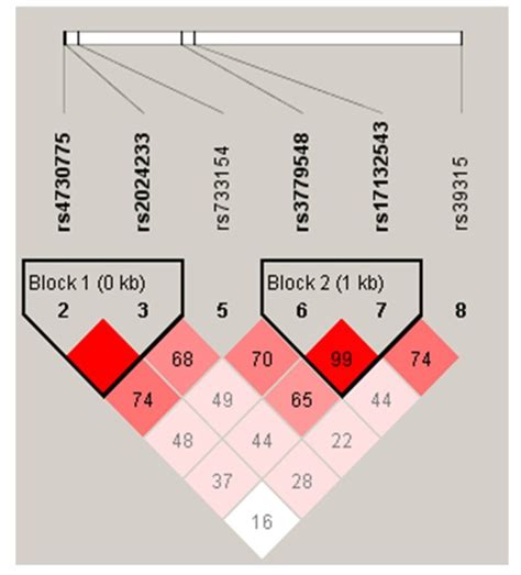 Linkage Disequilibrium LD Blocks Of The WNT2 Gene LD Coefficient