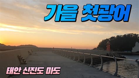 태안 신진도 마도 가을 첫광어 우럭 루어낚시 Youtube