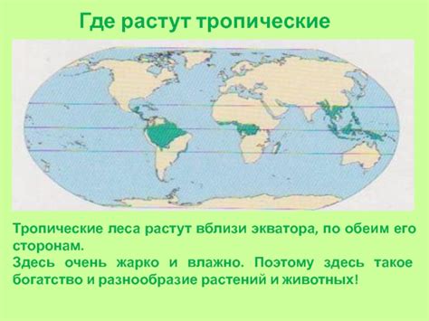 Животные и растения тропиков