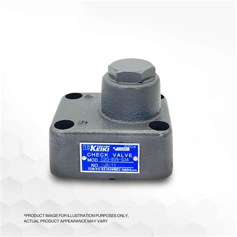 C2g 805 Ja 11 Check Valve Cascade Industrial Services Corp