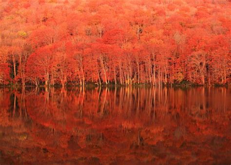 【2020年】青森県の紅葉スポット＆見頃10選！蔦沼、奥入瀬渓流など絶景ぞろい Live Japan 日本の旅行・観光・体験ガイド