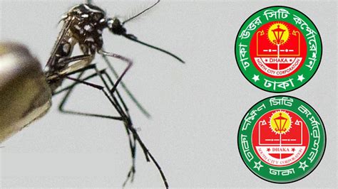 ড্রোন জিঙ্গেল ব্যাঙের অভিযানেও অপ্রতিরোধ্য মশা