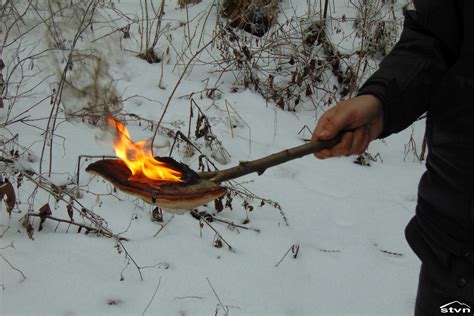 Making A Pine Resin Torch ⋆ Stvn Eu