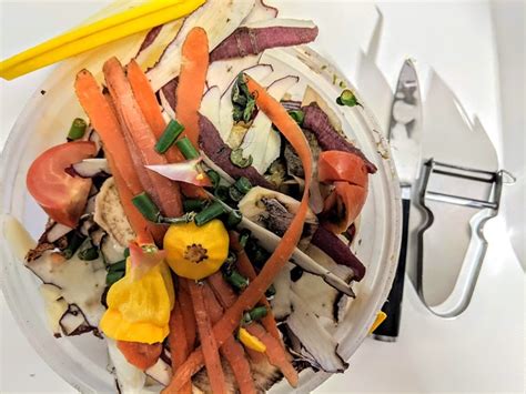 Composting Food Waste 101 A Complete Guide Shapiro