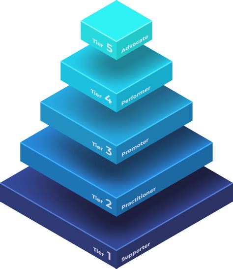 Cyber Trust Contfinity
