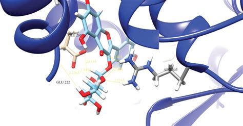 The Pparα Lxrα And Hnf4α Structure Models Docked With Corresponding
