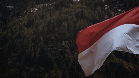 Kumpulan Puisi Tentang Hari Kemerdekaan Bangkitkan Semangat