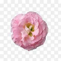 Png Png