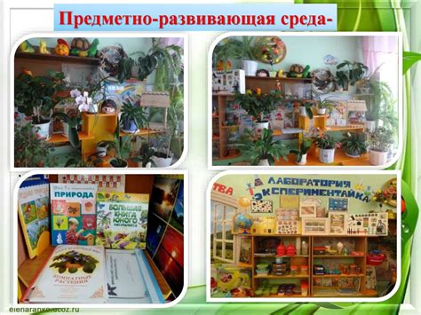Экологическое воспитание детей второй младшей группы детского сада