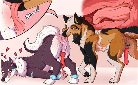 Rule 34 Alaskan Malamute Anal Animal Genitalia Animal Penis Anus Ass