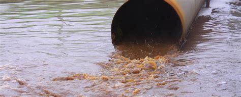 Typhoid Fever Who Regional Office For Africa