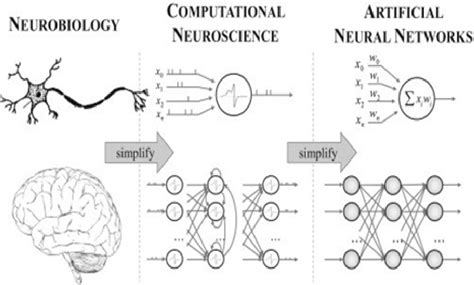 Figure 1 From The Parallel Between Artificial Intelligence And Neurosurgery Semantic Scholar