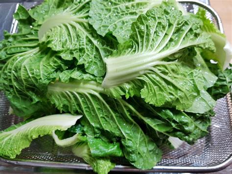 ★봄동나물무침★ 들깨와 된장으로 더욱 맛나게
