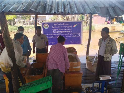 ညောင်ရွှေမြို့နယ် သမဝါယမအသင်းစုမှ ရေထွက်ကုန်ပစ္စည်းများကို ဈေးနှုန်းချိုသာစွာဖြင့် ရောင်းချပေး