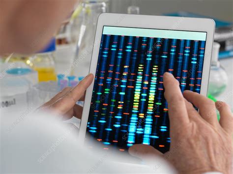 Genetic Test Results Stock Image F0209624 Science Photo Library