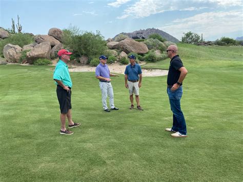 Stadium Zoysia Hawaiian Turfgrass