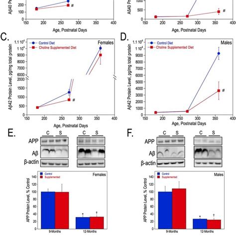 App Metabolite Levels In The Hippocampus Of Appps1 Mice Hippocampal Download Scientific