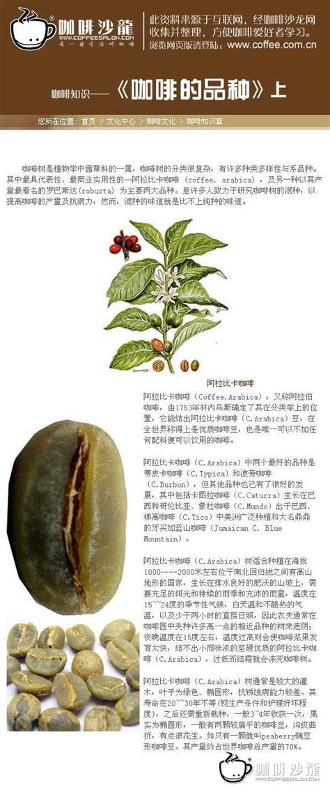 咖啡知识—【咖啡的品种】 中国咖啡网