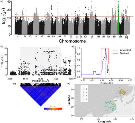 A Pleiotropic Locus On Chromosome 19 A Manhattan Plot For The