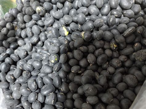 서리태 콩 강원특별자치도 원주시 단구동 비즈프로필