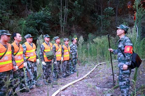 重庆巴南发生山火 八百民兵投入救火 国防动员 国防教育网