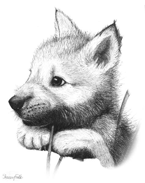 Scarlet Moon Guard Wiki Fandom