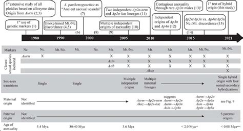 Time Line Of The Major Findings Regarding The Origin Of Diploid And Download Scientific Diagram