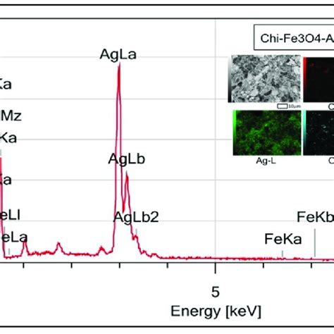 Results Of Edx Mapping Sem Conjugation Fe3o4 Chitosan Agnps Download