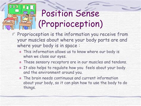 Ppt Sensory Processing Differences Powerpoint Presentation Id432204