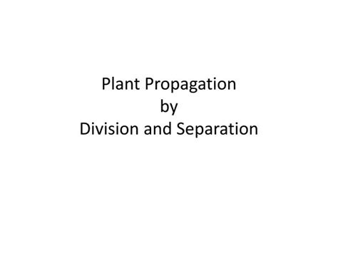 Ppt Plant Propagation By Division And Separation Powerpoint