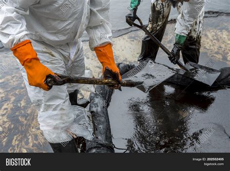 Workers Cleanup Remove Image Photo Free Trial Bigstock