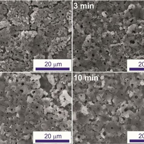 Sem Micrographs Lower Magnification Showing Surface Morphology Of The Download Scientific