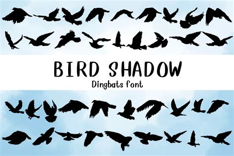 Bird Shadow Font By Nongyao · Creative Fabrica