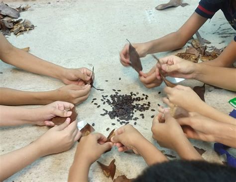 Meninas E Mulheres Na Ciência Contribuições Do Instituto Soka Amazônia