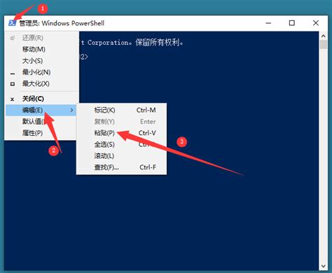 通过 Windows PowerShell 一键安装运行 朗读女 朗读女