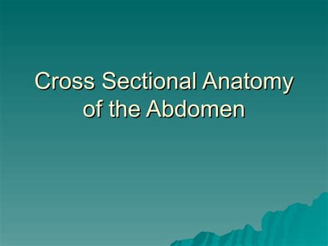 Cross Sectional Anatomy Of The Abdomen Annotated PPT