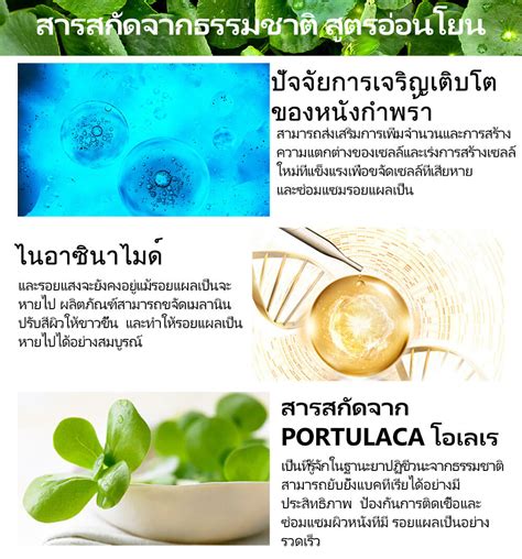 ครีมลบแผลเป็น Breyleeของแท้ ยาทาแผลคีลอยด์ ครีมทาแผลเป็น ยาทาแผลเป็นนูน