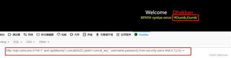 sqli labs 第五关 sqlilab第五关 CSDN博客
