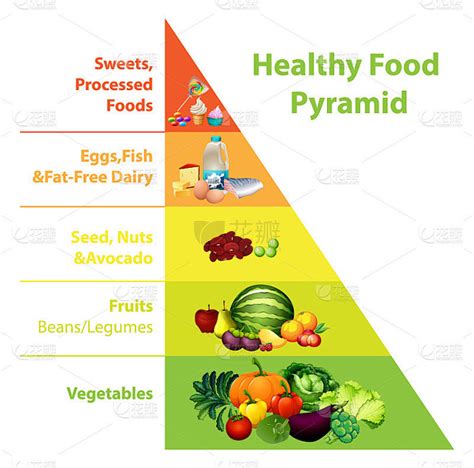 健康食物金字塔图