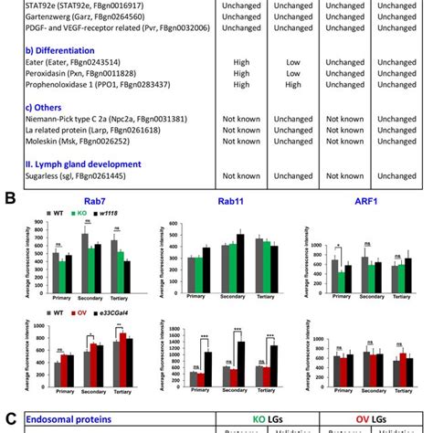 Functional Enrichment Analysis Bar Plots Representing Gene Ontology Download Scientific