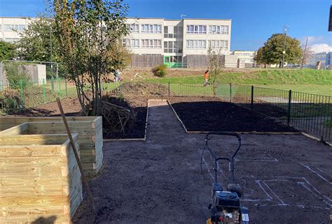 The Garden Plot Week 2 Commonside Community Development Trust