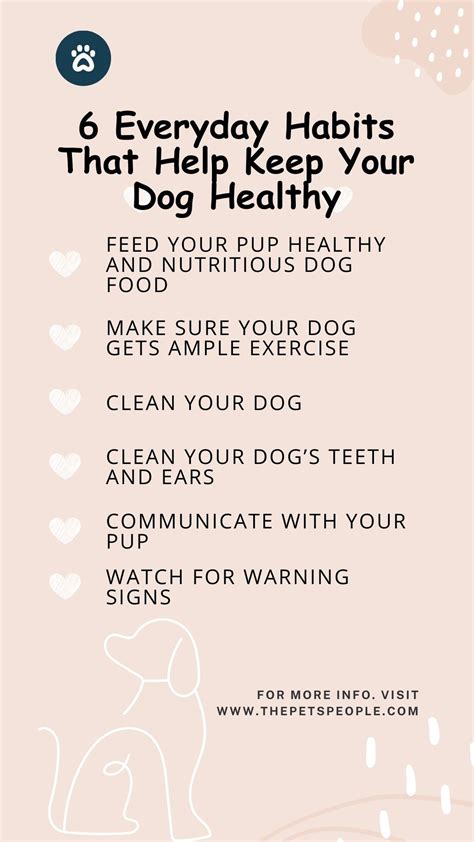 6 Everyday Habits That Help Keep Your Dog Healthy Habits Healthy