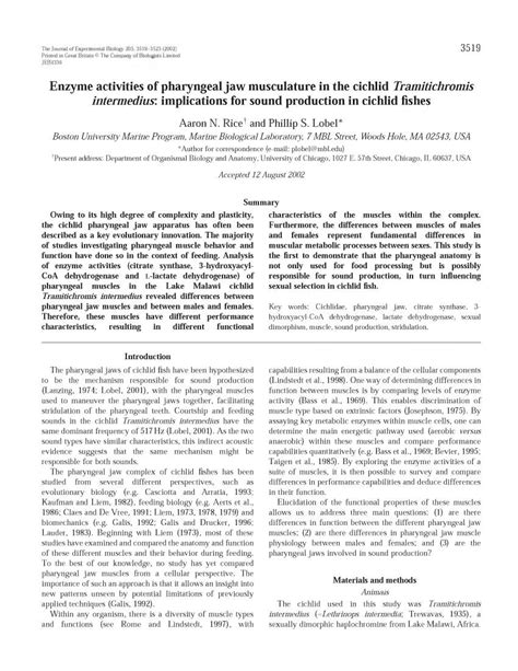 Enzyme Activities Of Pharyngeal Jaw Musculature In The Cichlid