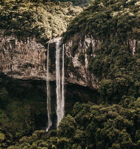 Overflow Incontinence Pelvic Angel