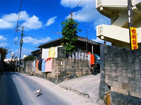 ドイクロウ on Twitter 那覇昼下がりの白黒猫沖縄 1978年 那覇街景 猫町 土井九郎