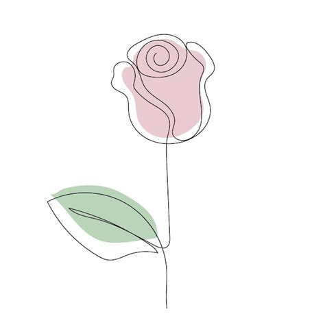 Arte De Línea De Flor De Rosa Dibujo De Contorno Arte Minimalista