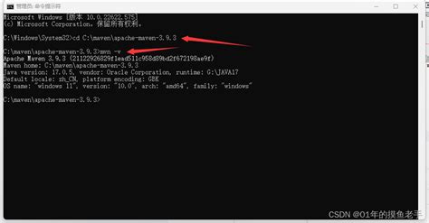 ij idea安装maven超详细、保姆级教程 csdn博客