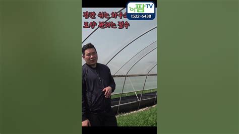겨울 재배농가의 하우스 토양 관리 이제 여름 상추 심을때가 왔네 Youtube